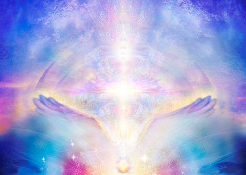 FREQUENCIES | The Earth Hectare Grid